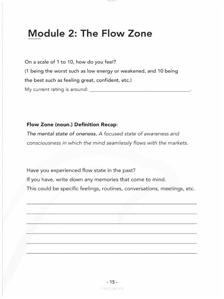 02 Rewired Module 2 The Flow Zone | PDF