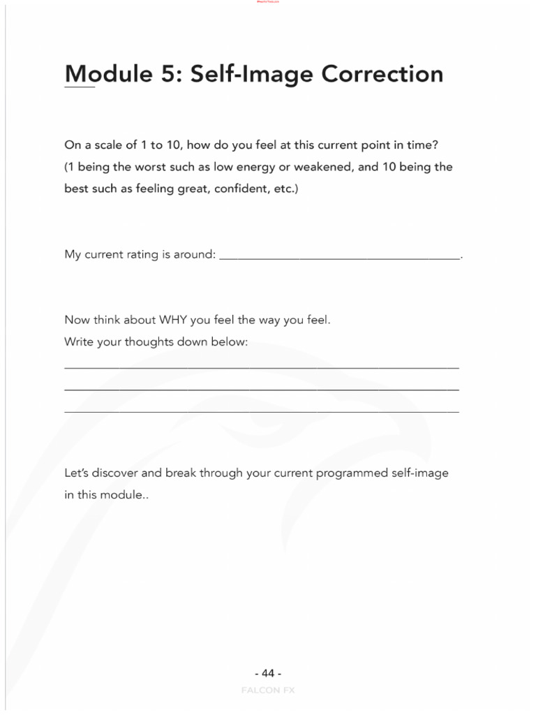 05 Rewired Module 5 Six Stage Self Image Correction Process | PDF
