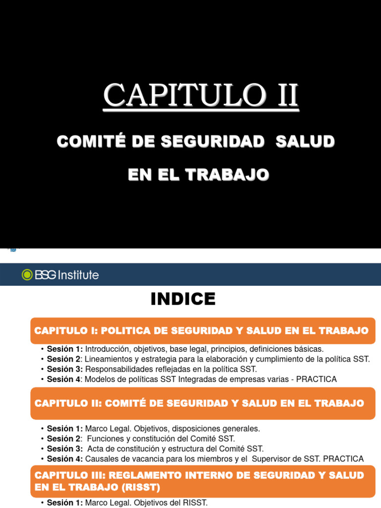 C2S1. Comite de Seguridad y Salud | PDF | Sindicato | Regulación