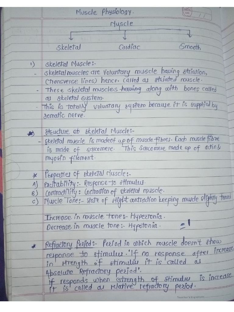 Muscle Physiology (Video Uploaded On YT Channel) | PDF