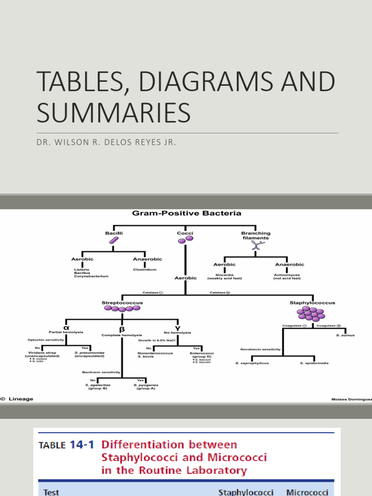 Tables, Diagrams and Summaries | PDF | Clinical Medicine | Immunology