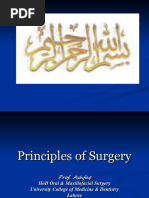 Halsted Principles | PDF