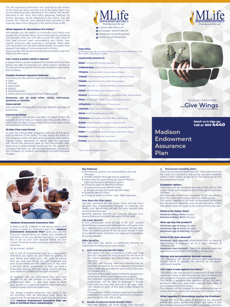 Madison Endowment Assurance Plan Brochure | Download Free PDF | Life ...