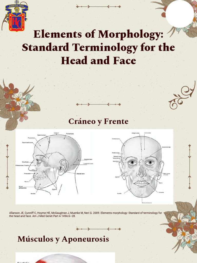 Copia de Elements of Morphology - Standard Terminology For The Head and ...