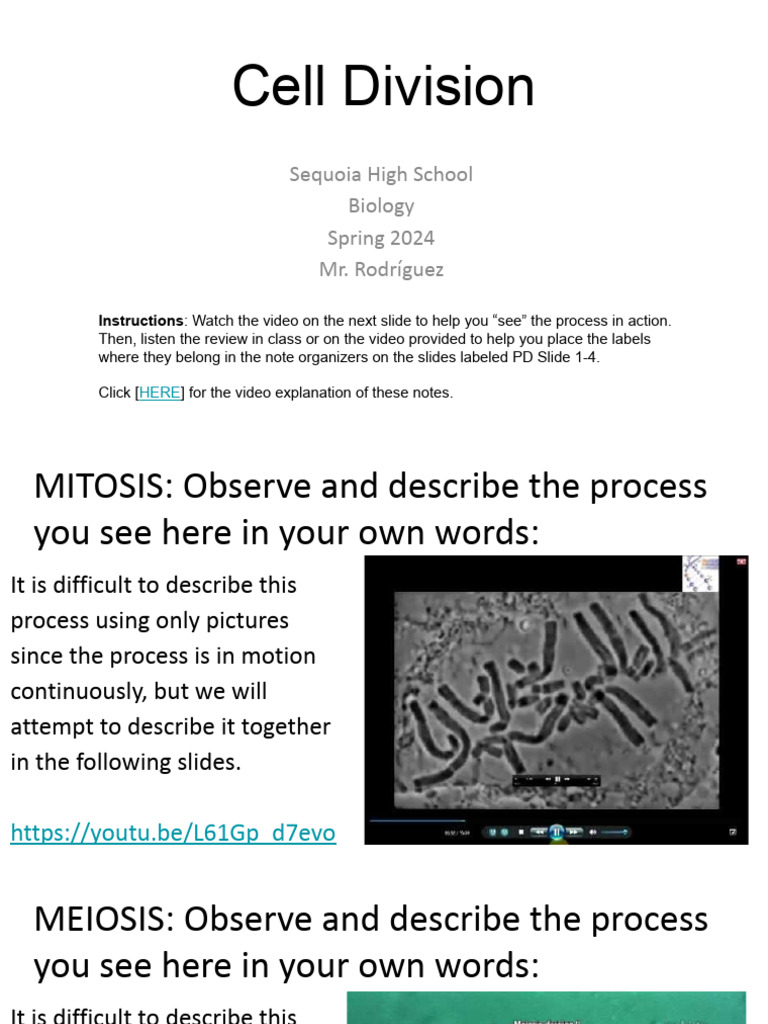Notes - Cell Division | PDF