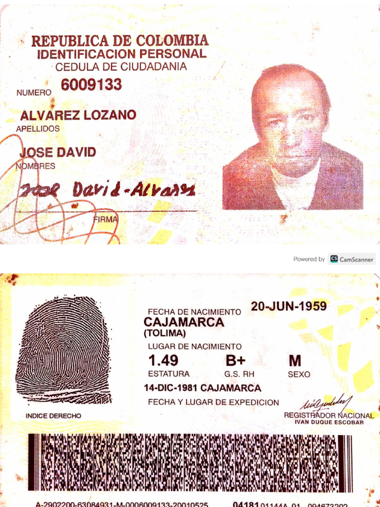Jose David Alvarez | PDF