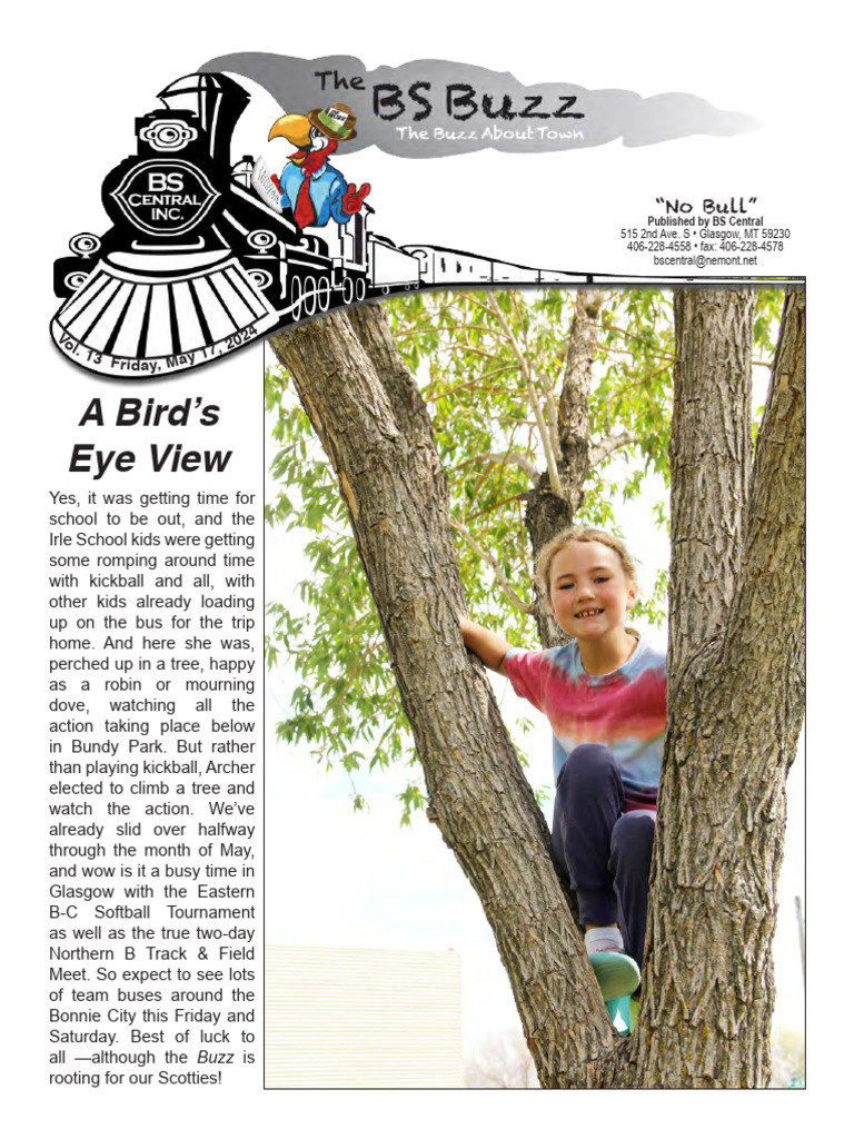 BS Buzz | Download Free PDF | Beef | Steak