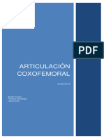 Articulación Coxofemoral | PDF | Rodilla | Anatomía