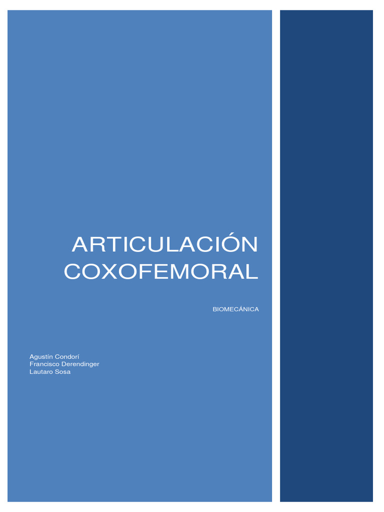 Articulación de La Cadera (Articulación Coxofemoral) | PDF | Articulación | Extremidades (anatomía)