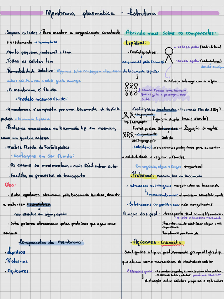 Citologia - Resumos 240513 212420 | PDF