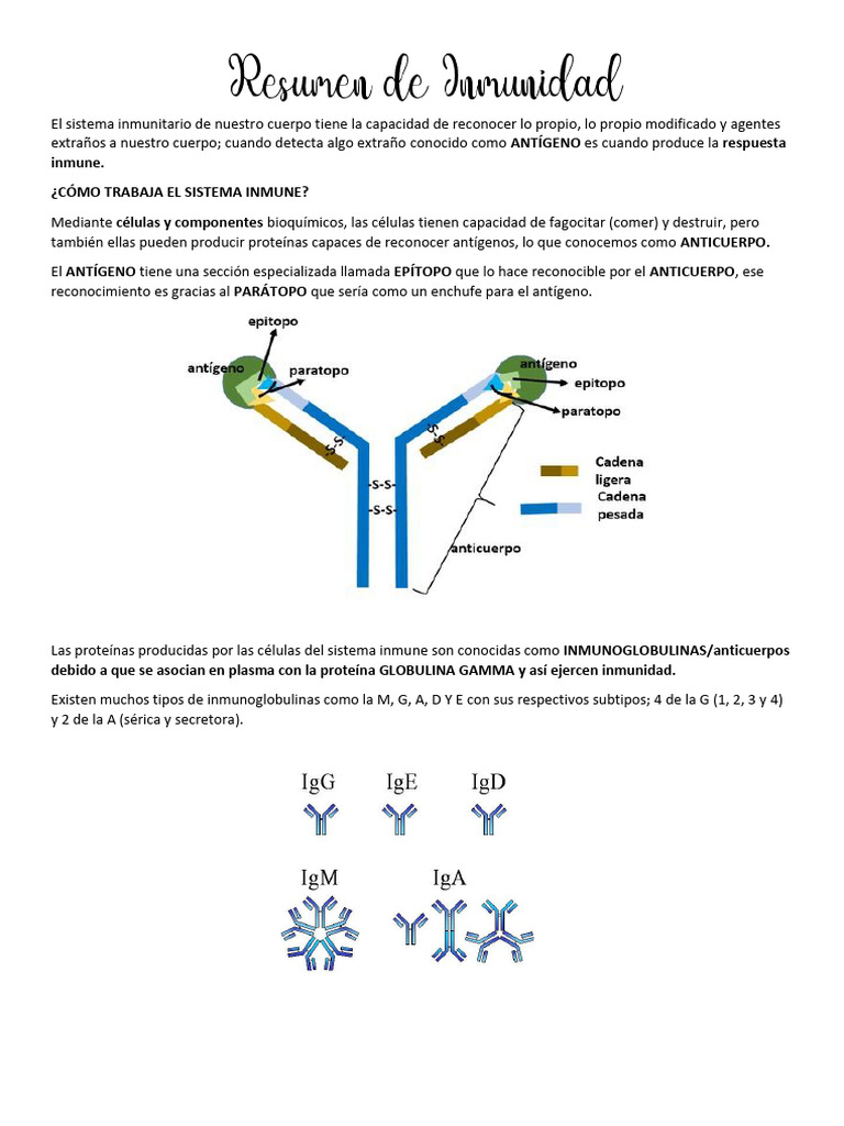 Sistema Inmune Resumen Anexo | PDF | Sistema inmune | Anticuerpo