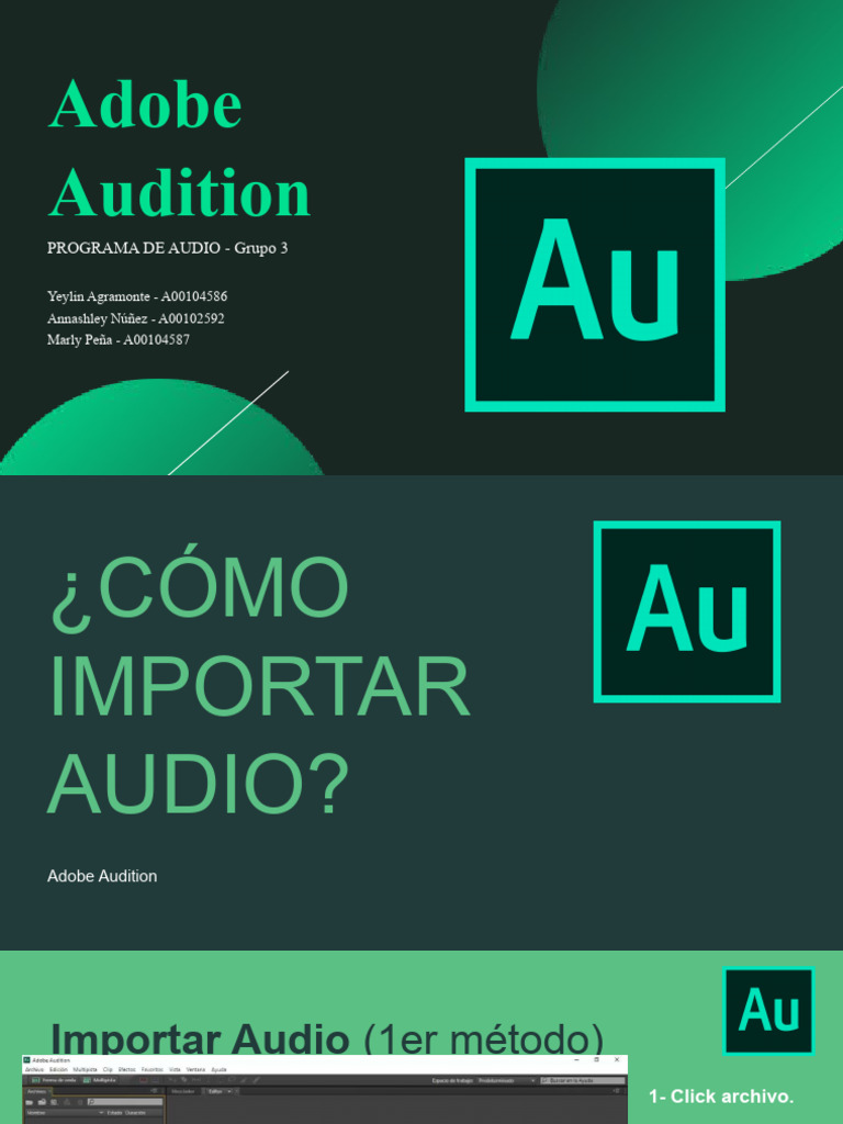 Adobe Audition | PDF | Mp3 | Informática