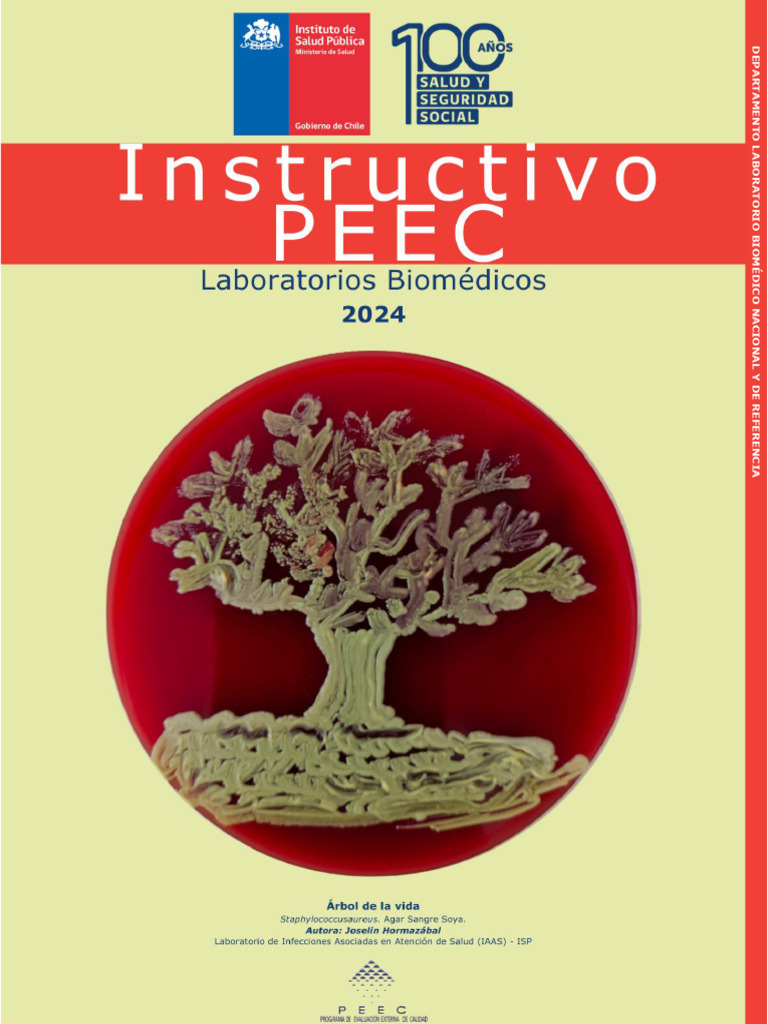 Instructivo Peec 2024 v15 | Descargar gratis PDF | Laboratorios | Evaluación