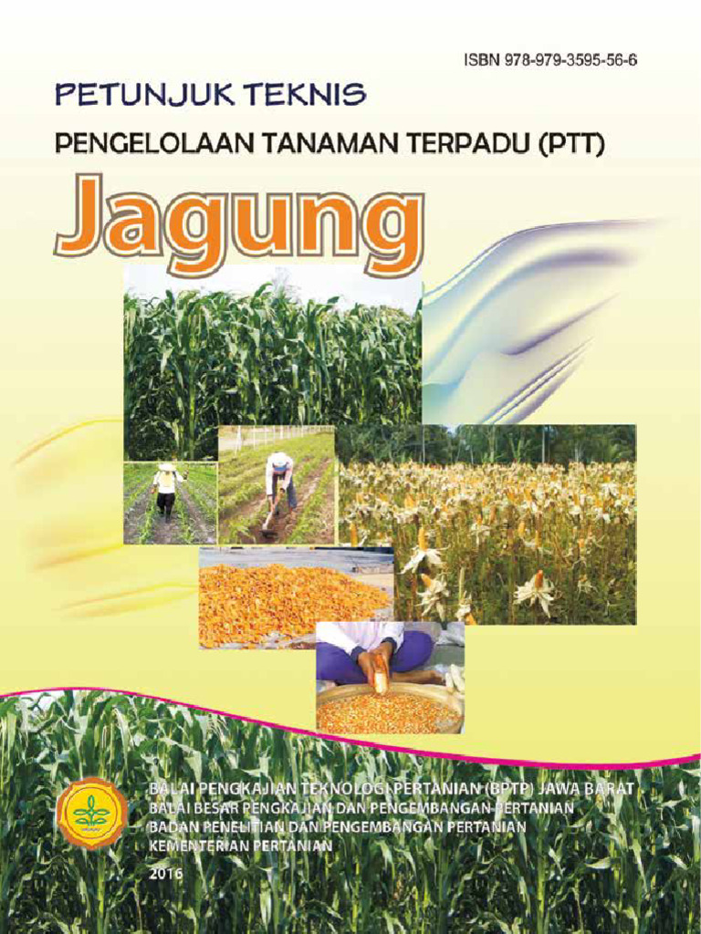 PTT Jagung | PDF