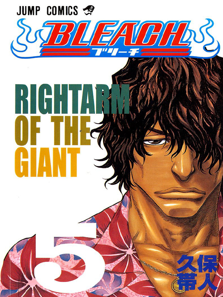 Bleach Vol. 05 | PDF
