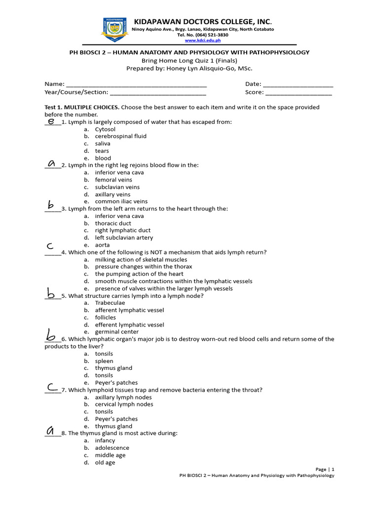 Human Anatomy & Physiology Quiz 1 | PDF | Lymphatic System | Lymph Node