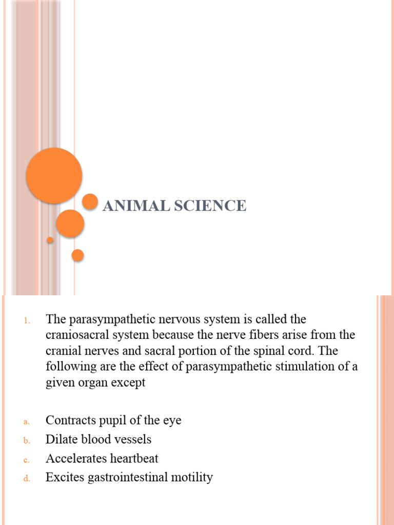 Animal Science | PDF | Pig | Digestion