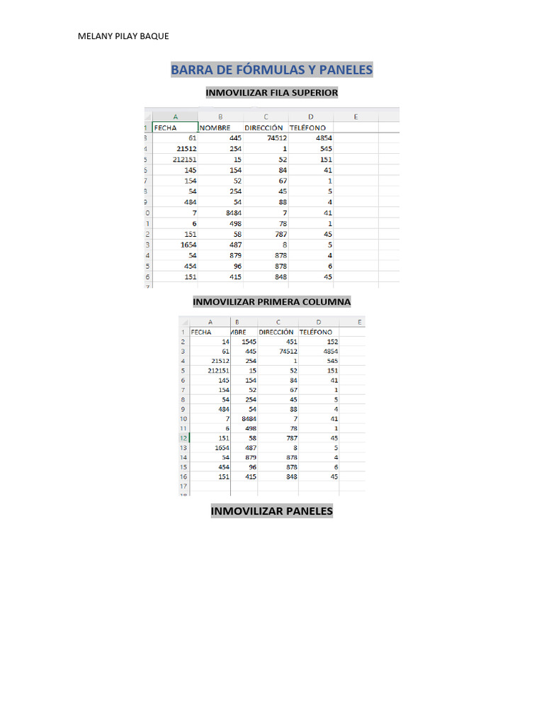 Barra de Fórmulas y Paneles | PDF
