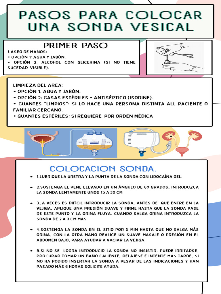 Infografia Sonda Foley | Descargar gratis PDF | Agua