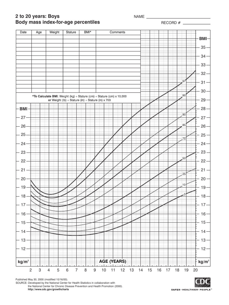 BMI Percentiles for Boys Ages 2-20 | PDF | Body Mass Index | Human Body ...