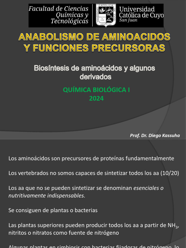 Clase 12 Anabolismo y Funciones Precursoras de Aa | PDF | Biosíntesis ...