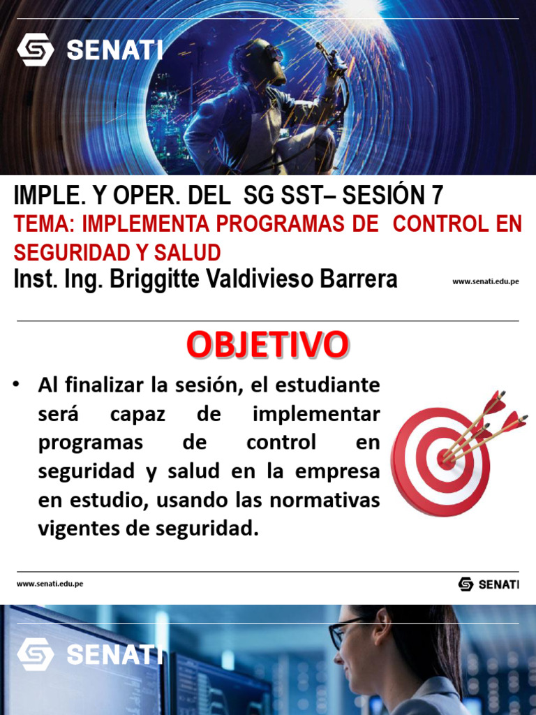 Impl. y Oper Del Sg-sst s12 Programa de Control de Seguridad | PDF | Auditoría | Guante