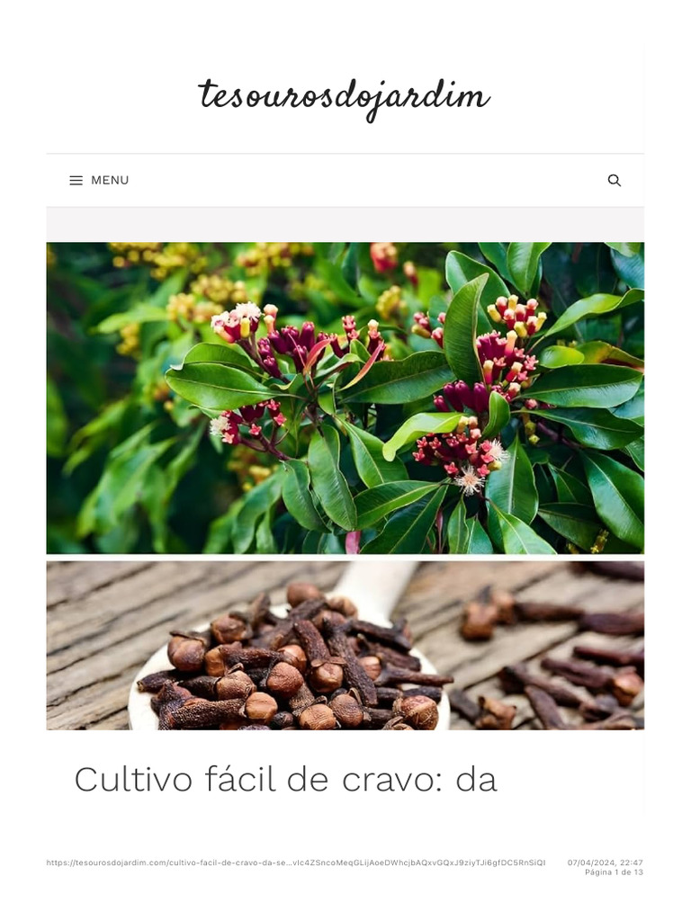 Cultivo de Cravo: Guia Completo e Fácil | PDF | Umidade | Germinação