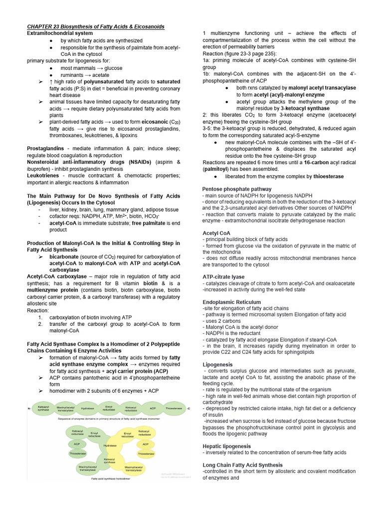 Fatty Acid and Eicosanoid Biosynthesis | PDF | Adenosine Triphosphate ...