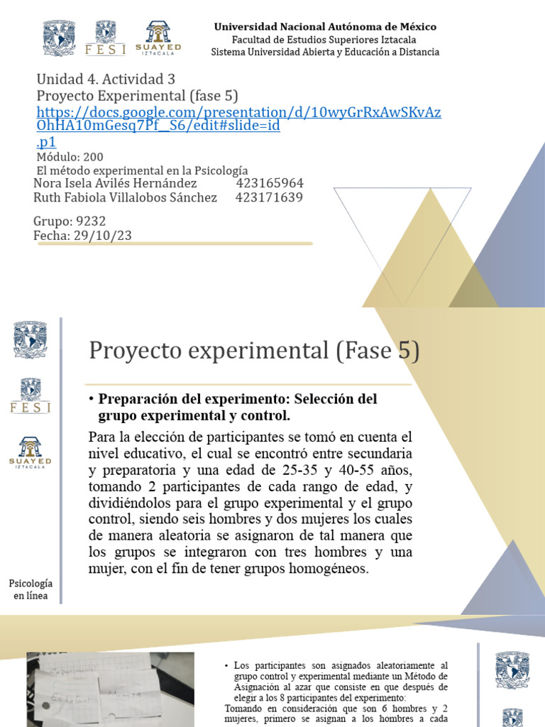 Act 3 Evidencias Equipo 6 | PDF | Experimentar