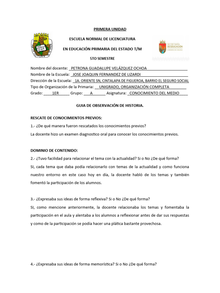 Guion de Observacion Historia | PDF | Maestros | Escuelas Guion de Observacion Historia | PDF | Maestros | Escuelas