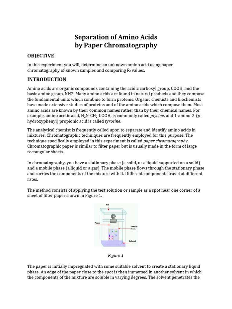 Amino Acid Separation via Paper Chromatography | PDF | Chromatography ...
