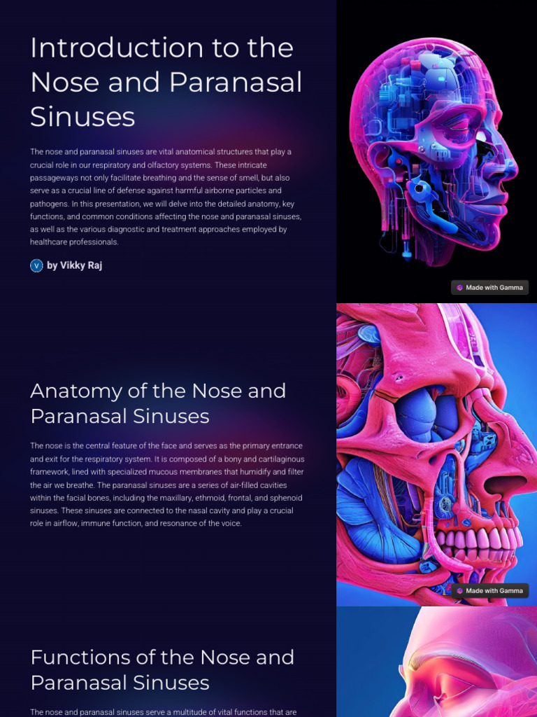 Copy-of-Introduction-to-the-Nose-and-Paranasal-Sinuses | PDF | Human ...