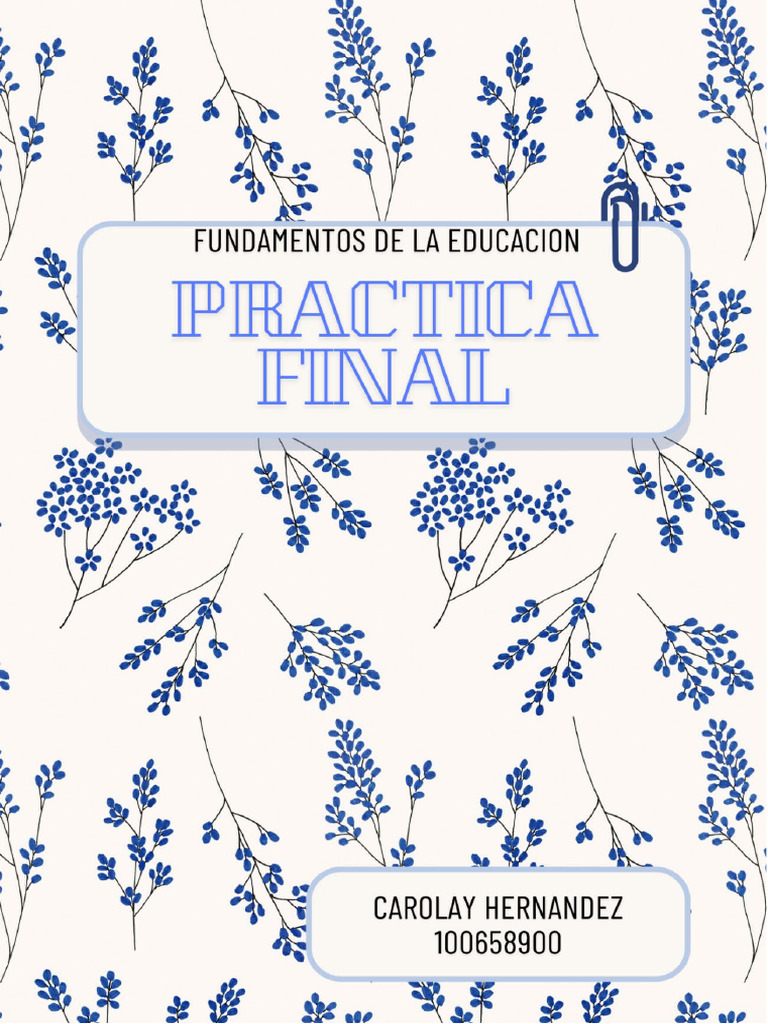 El Rol de la Educación en la República Dominicana-PRACTICA FINAL | PDF | República Dominicana ...