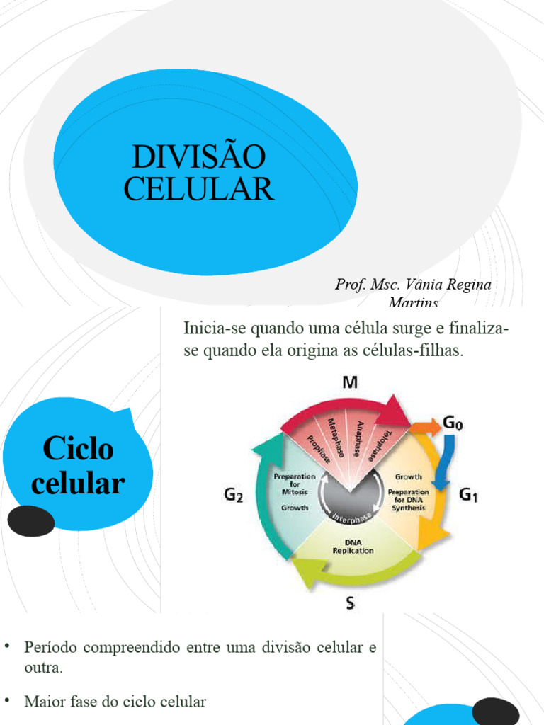 Aula 6 - Divisão Celular | PDF | Mitose | Meiose