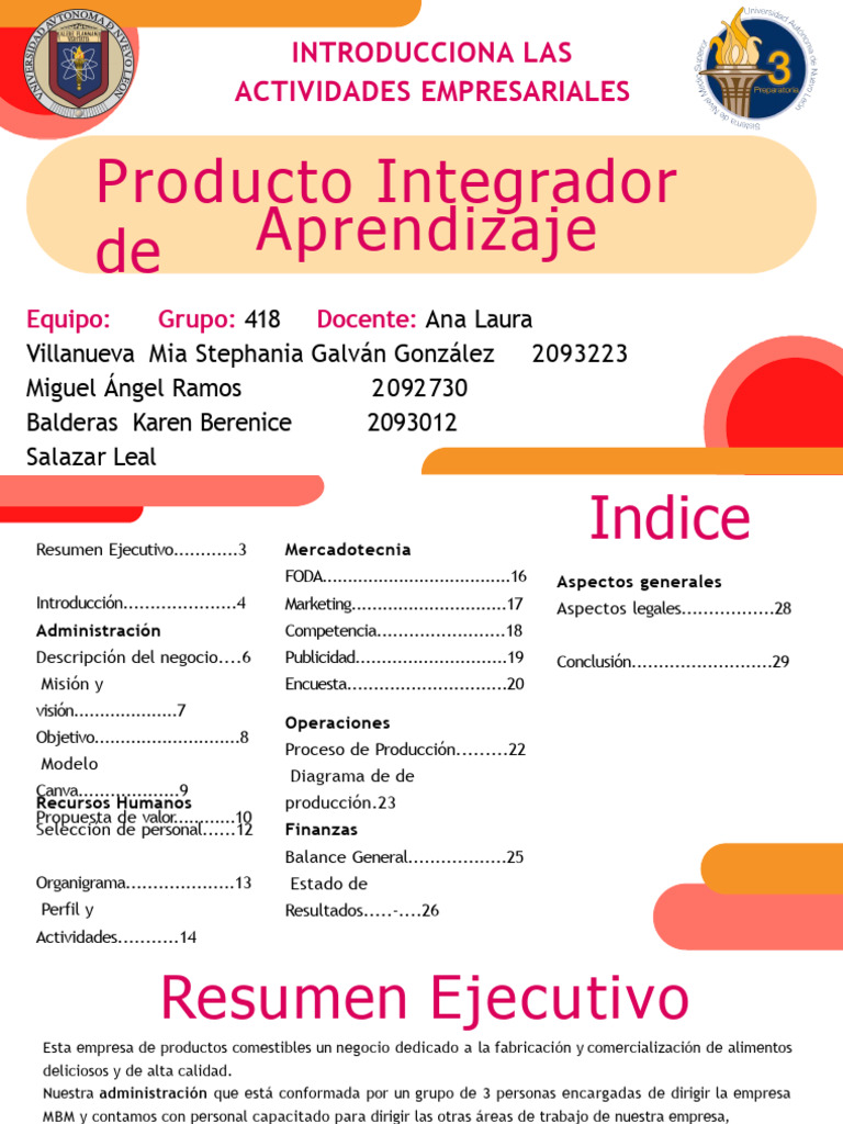 Equipo 4 - PIA - INTAE | PDF | Marketing | Business