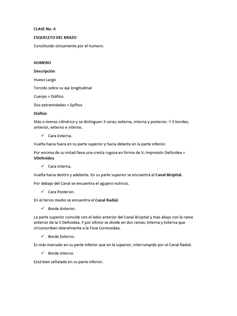 Anatomía del Húmero, Cúbito y Radio | PDF | Codo | Anatomía