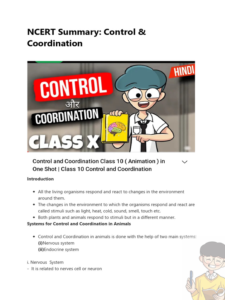 NCERT Summary Control & Coordination | PDF | Neuron | Nervous System