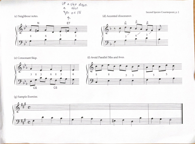 Counterpoint 2 Lecutre Handout | PDF
