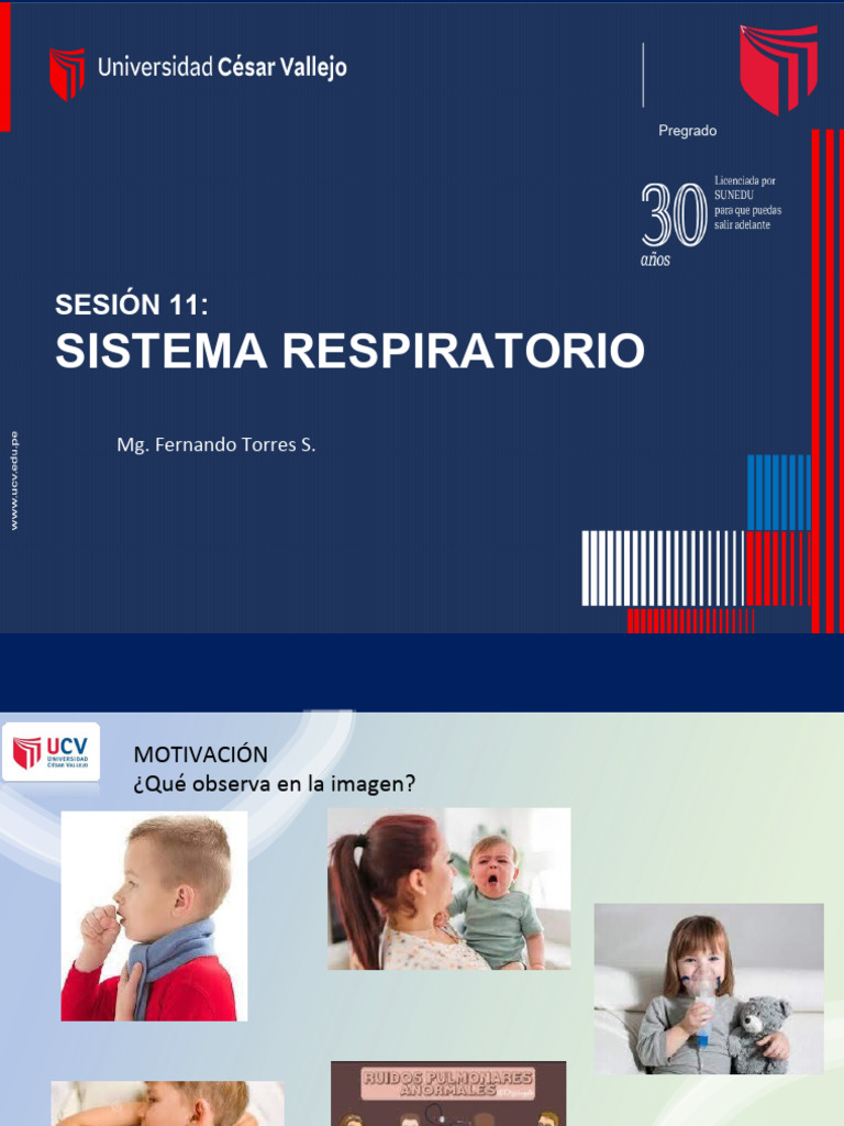 Aparato Respiratorio fts2023 | Descargar gratis PDF | Sistema respiratorio | Pulmón
