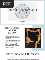 Haggitt's Classification of Malignant Pedunculated | PDF | Colorectal ...