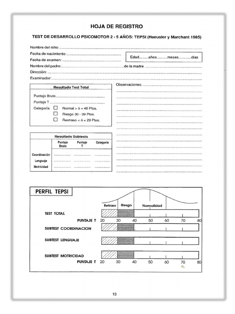 Hoja de registro TEPSI | PDF