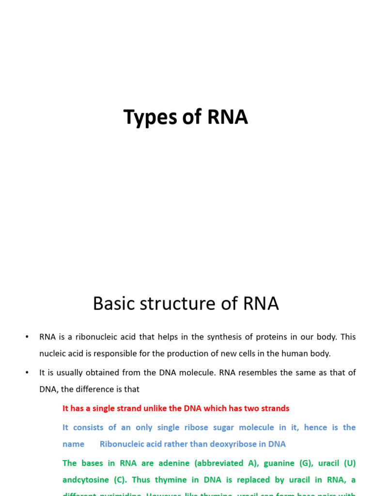 Types of RNA | Download Free PDF | Translation (Biology) | Messenger Rna