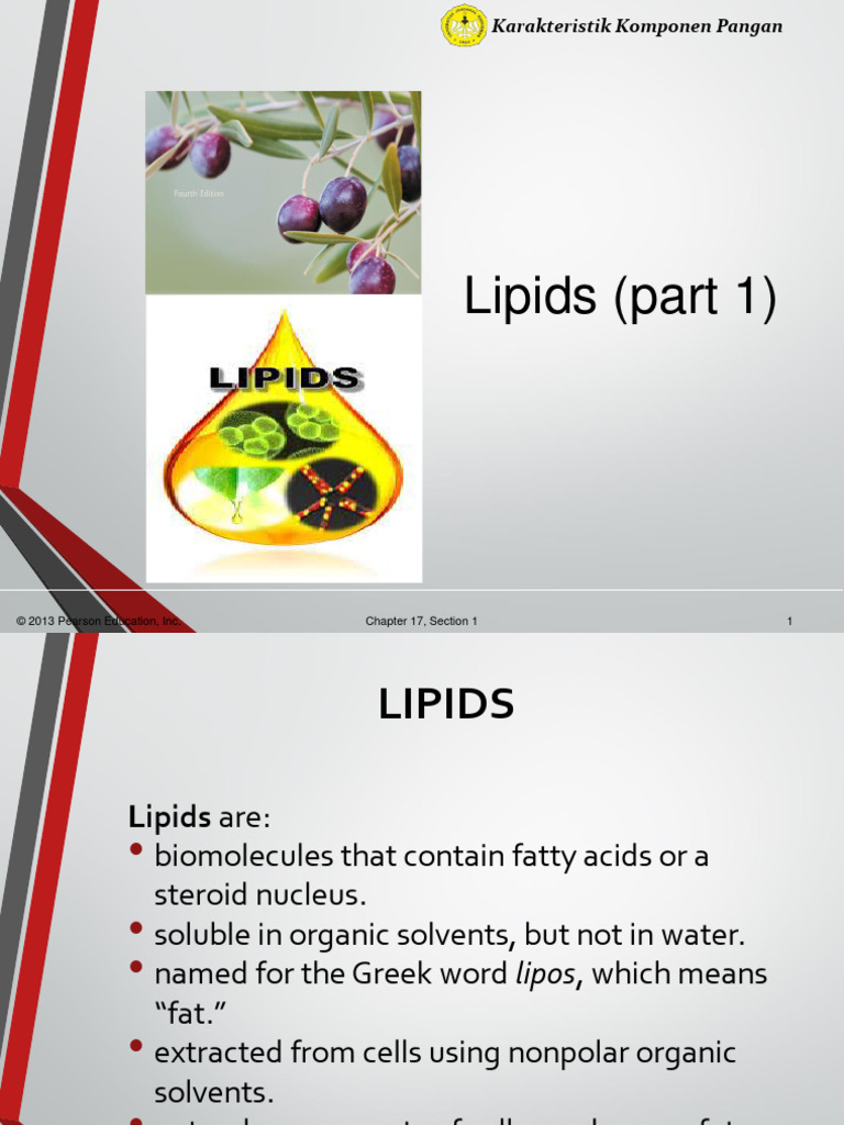 Lipid | PDF | Triglyceride | Fatty Acid