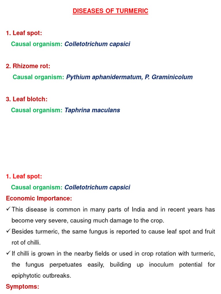 Diseases of Turmeric | PDF | Leaf | Mycology