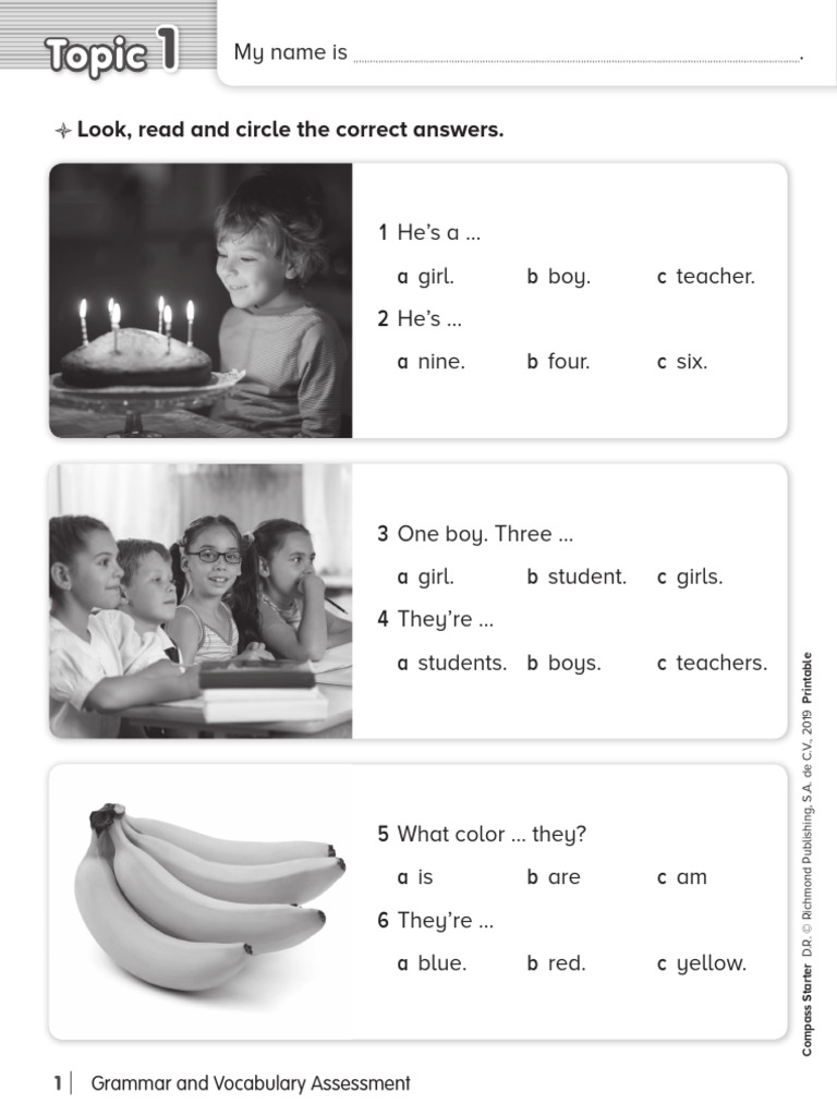 Language Log Starter Topic 1 Grammar and Vocabulary Assessment | PDF