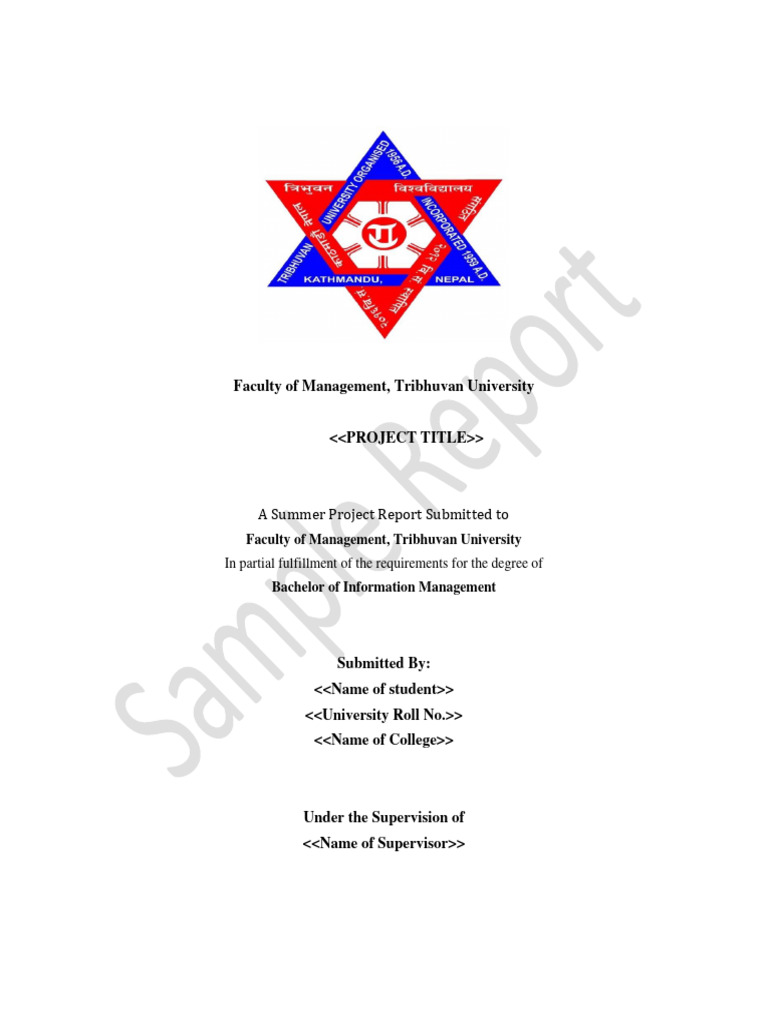 Sample Report (1) | PDF | Software Development Process | Databases