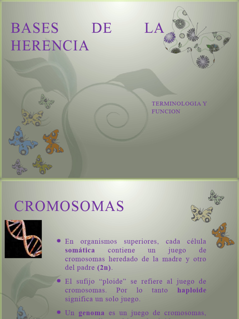 Genetica Animal-Clase 3 | PDF | Dominancia (Genética) | Alelo