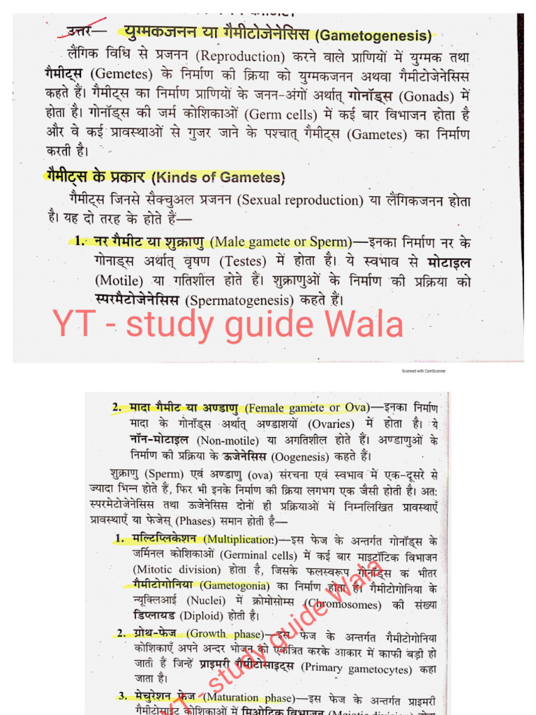Developmental Biology Zoology Notes Part - 1 | PDF
