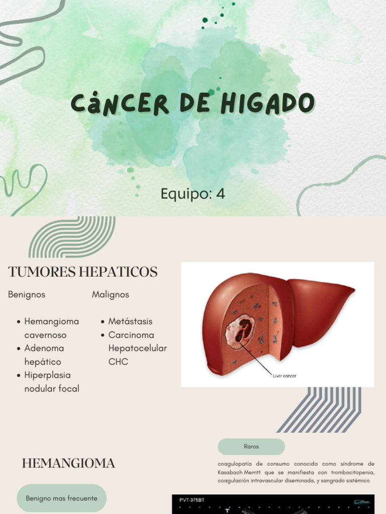 Cáncer Hepático | PDF | Epidemiología | Enfermedades y trastornos humanos