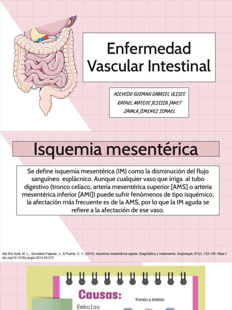 Isquemia Mesentérica: Diagnóstico y Tratamiento | PDF | Isquemia ...
